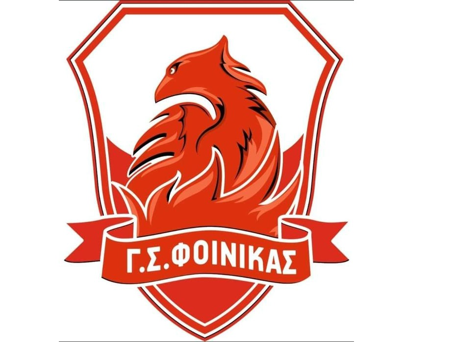 Φοίνικας, ΕΝΟΡΓΑΝΗ ΡΥΘΜΙΚΗ ΓΥΜΝΑΣΤΙΚΗ ΝΕΟ ΗΡΑΚΛΕΙΟ